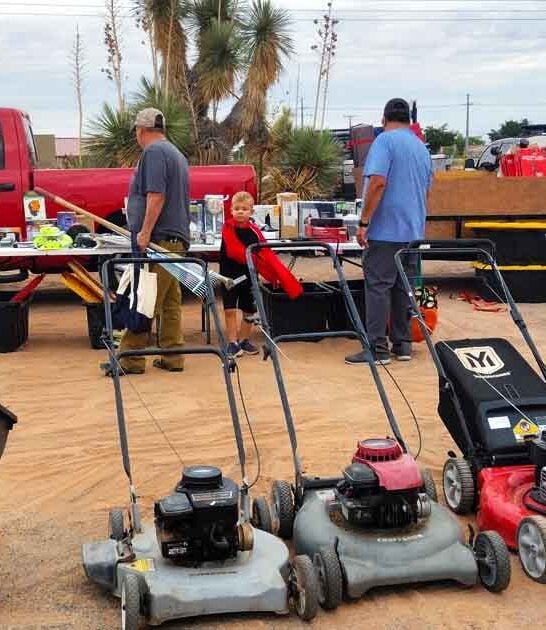 new mexico backseat deals ftr