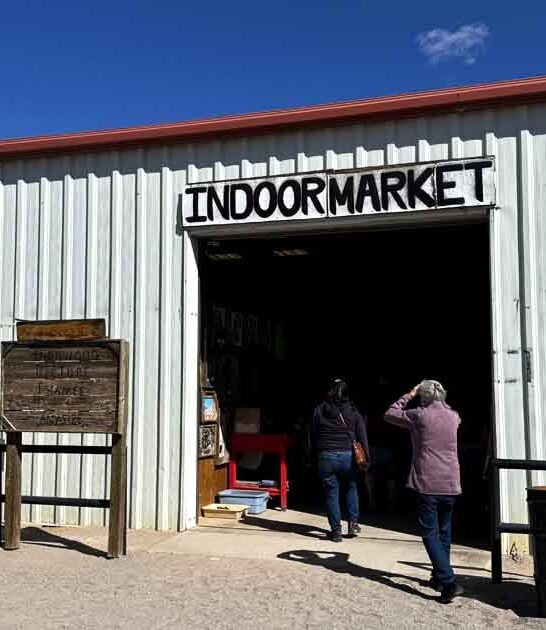 new mexico outrageous deals ftr