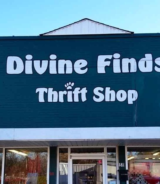 north carolina insane bargains ftr