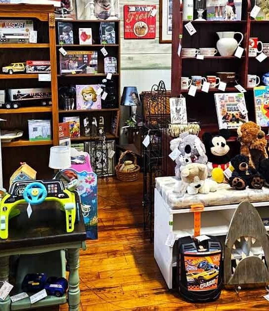 north carolina store inexpensive ftr