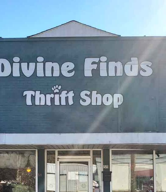 north carolina thrift good ftr