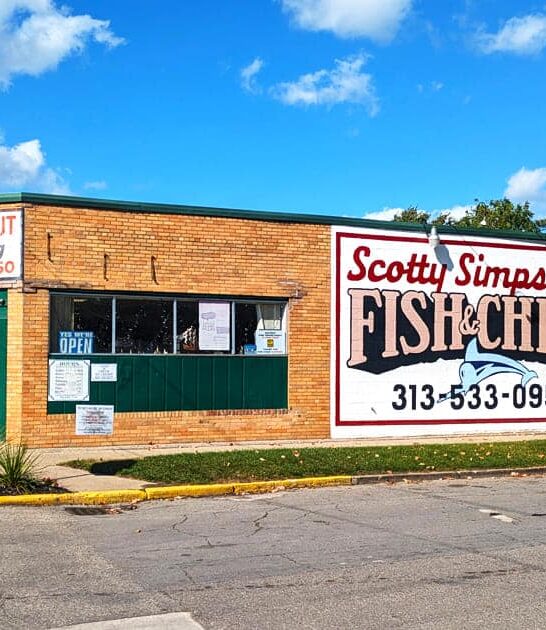 onion rings michigan restaurant ftr