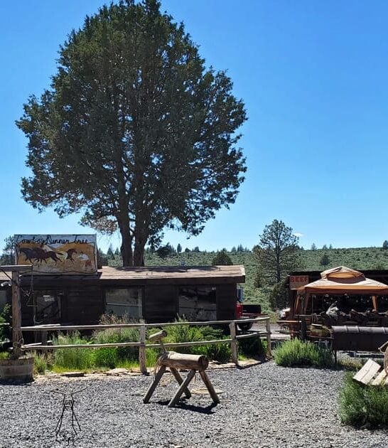 oregon eat restaurant drive ftr