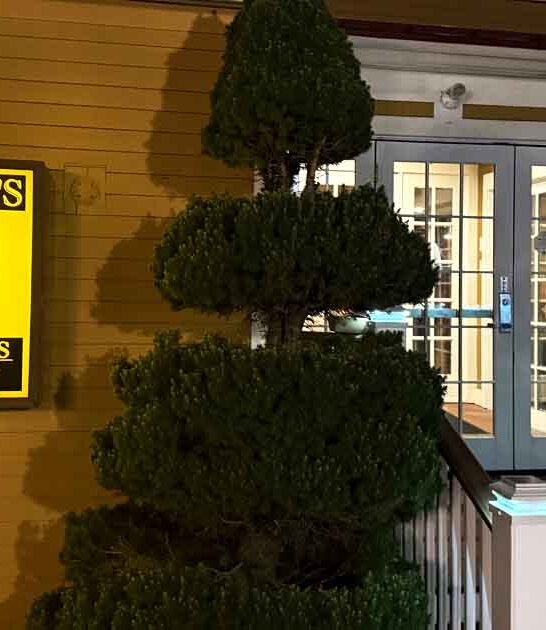 oysters steakhouse new hampshire ftr