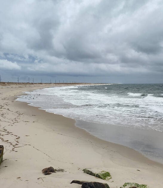 The Picture-Perfect State Park In Delaware That&rsquo;s Perfect For Laid-Back Day Trips