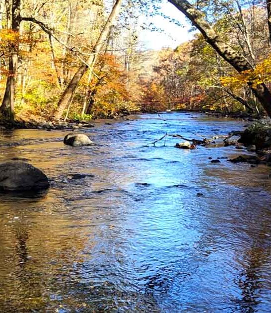 park incredible new jersey ftr