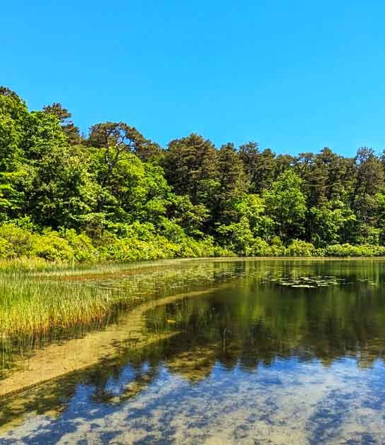 park massachusetts perfect picture ftr