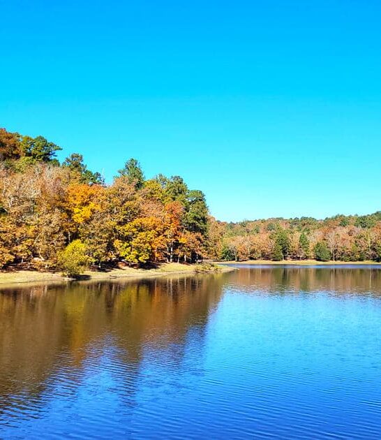 park mississippi gorgeous unheard ftr