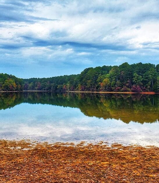 park mississippi ideal state ftr