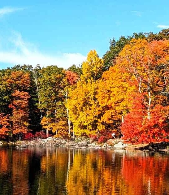 park new york scenic ftr