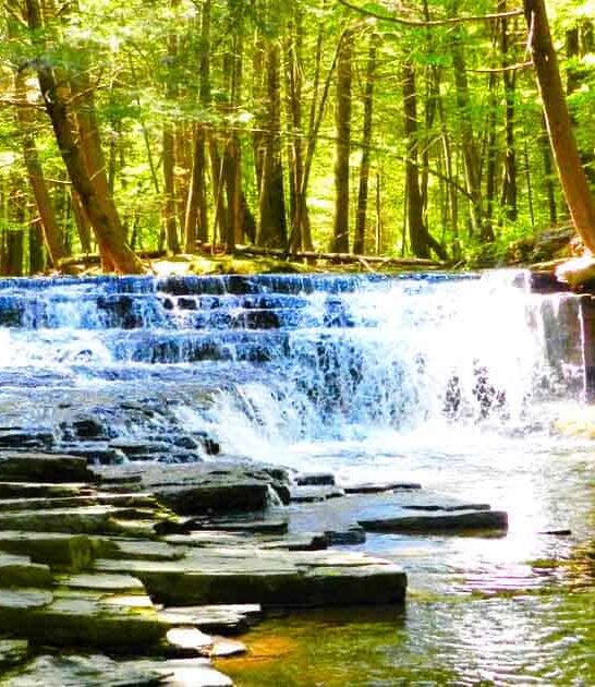 pennsylvania state park overlooked ftr