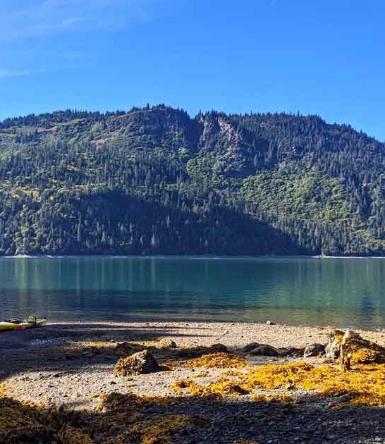 picturesque park alaska nature ftr