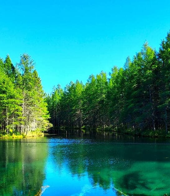 postcard park michigan worthy ftr