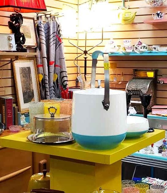 rhode island massive flea ftr