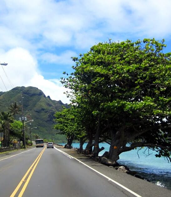 scenic drive hawaii stunning ftr