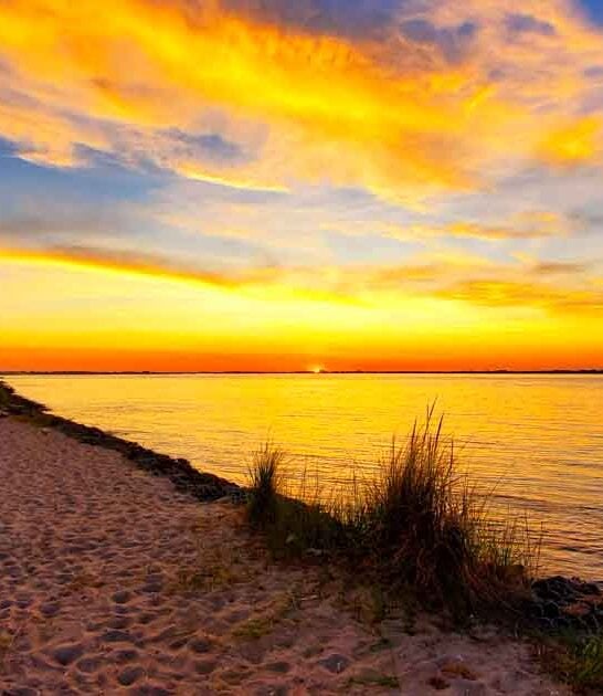 scenic new york escape ftr