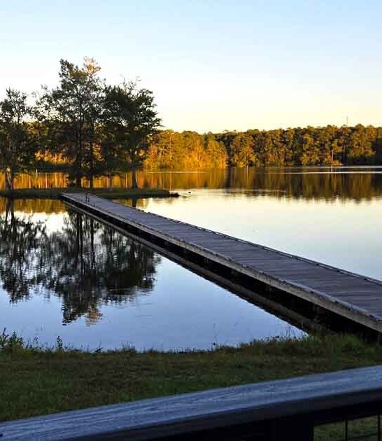 scenic park mississippi perfect ftr