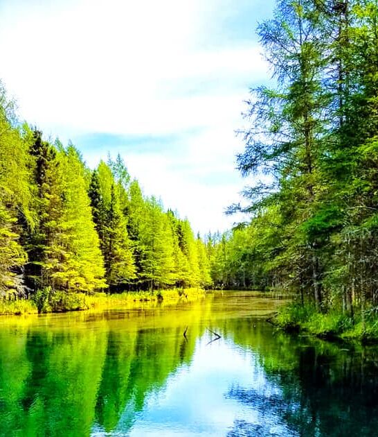 secrets michigan park stunning ftr