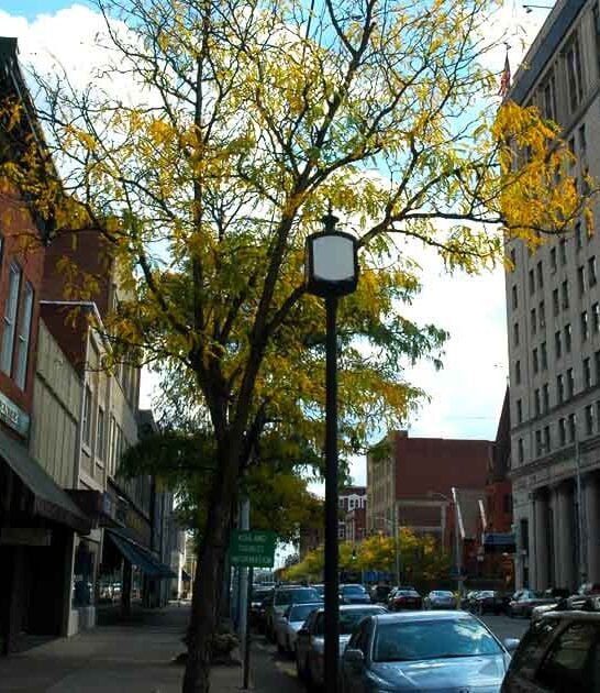 social security stretch kentucky ftr