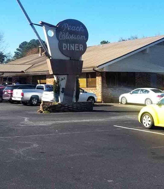 south carolina country diner ftr