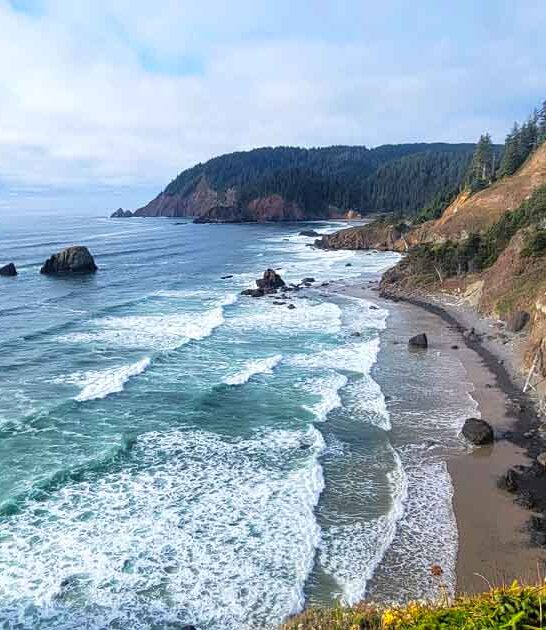 state oregon park dreamy ftr