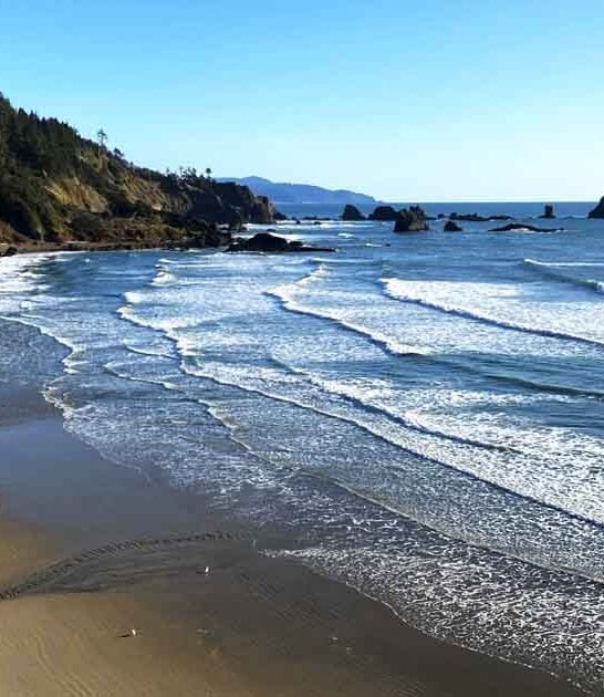 state oregon park stunning ftr