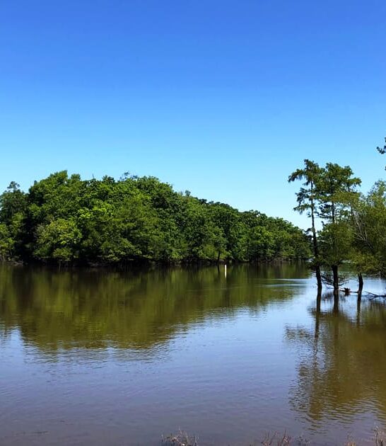state park arkansas peaceful ftr