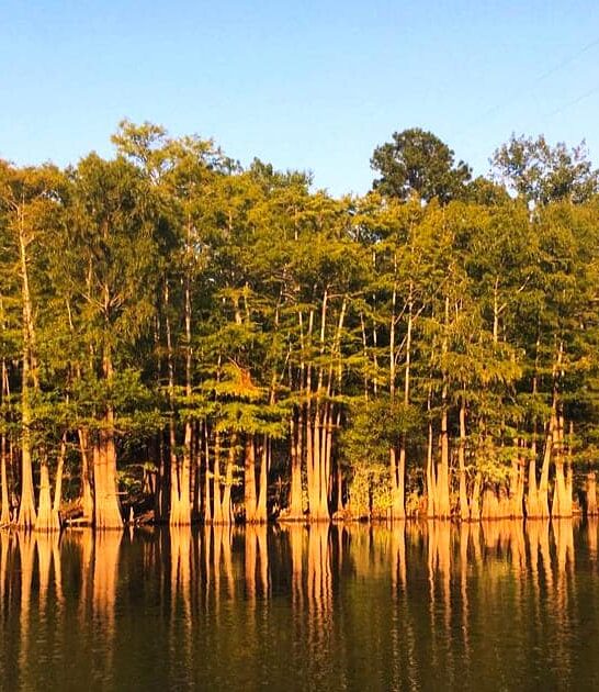 state park arkansas picturesque ftr