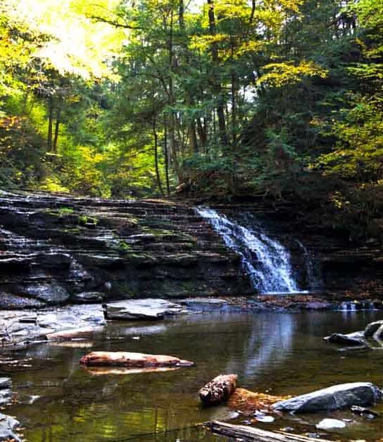 state park gorgeous pennsylvania ftr