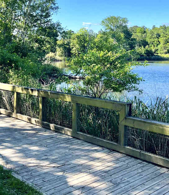 state park louisiana peaceful ftr