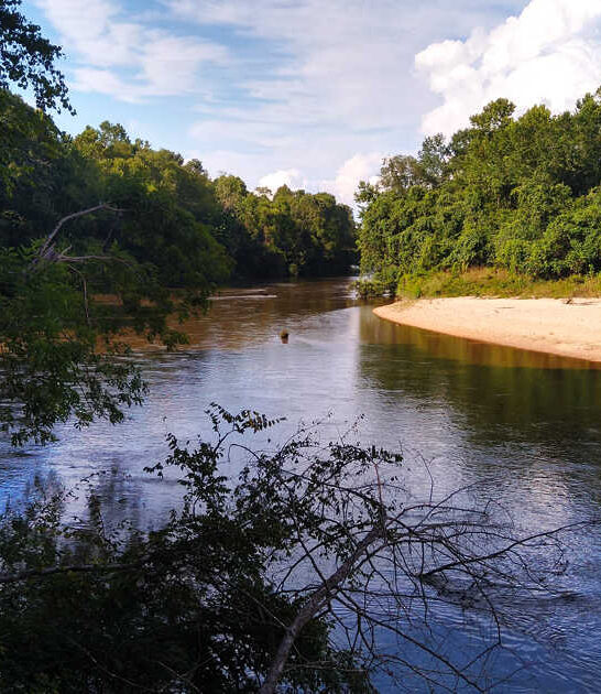 state park louisiana underrated ftr