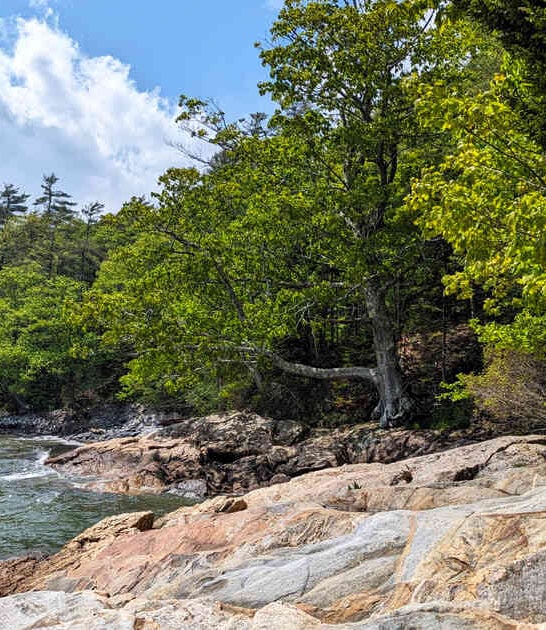 state park maine surreal ftr