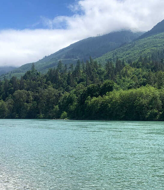 state washington park gorgeous ftr