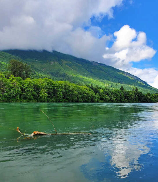 state washington park scenic ftr