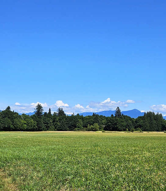 state washington park worthy ftr