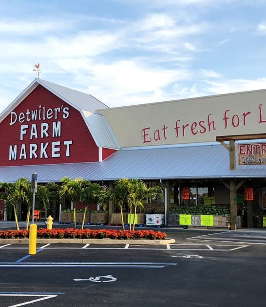 store florida discount grocery ftr