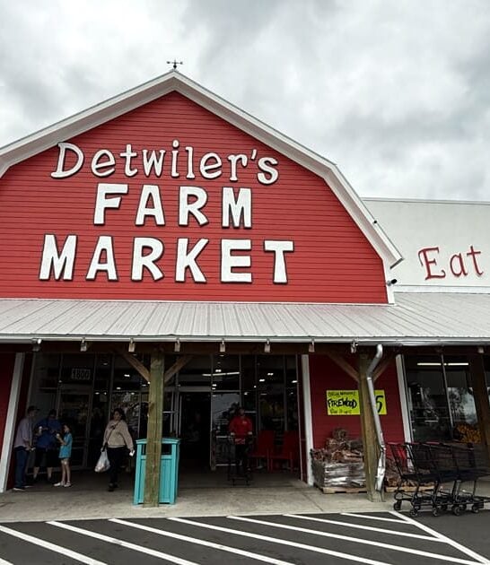 store florida massive grocery ftr