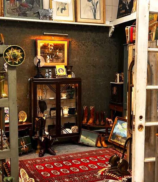 store new mexico vintage ftr