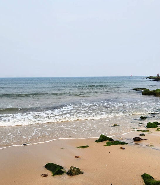 This Stunning State Park In Delaware Is Ideal For Slow, Peaceful Days