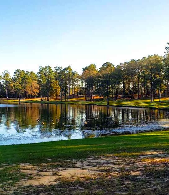 stunning park mississippi wash ftr