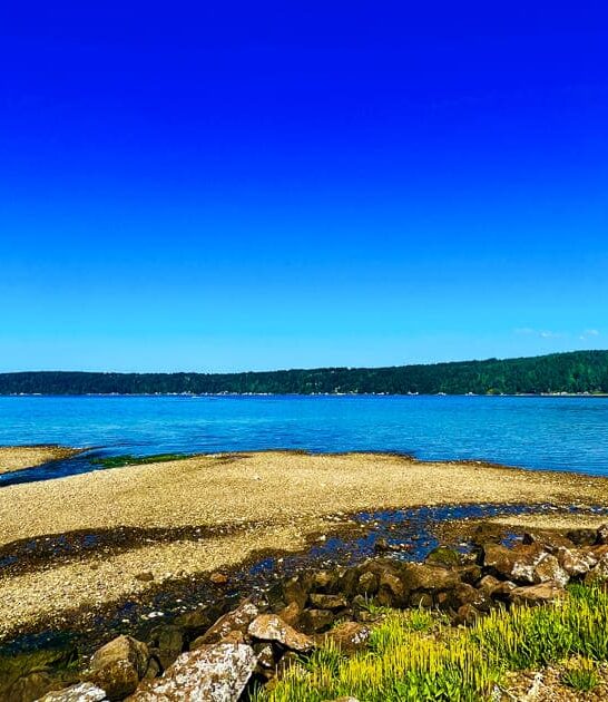 stunning park washington peaceful ftr