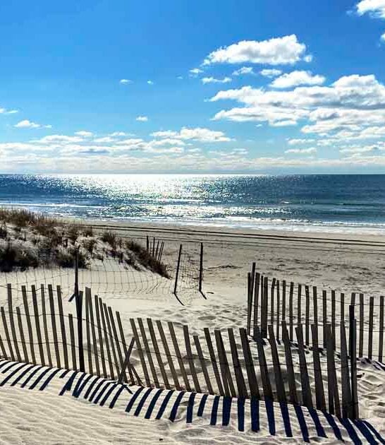 stunning state new york ftr