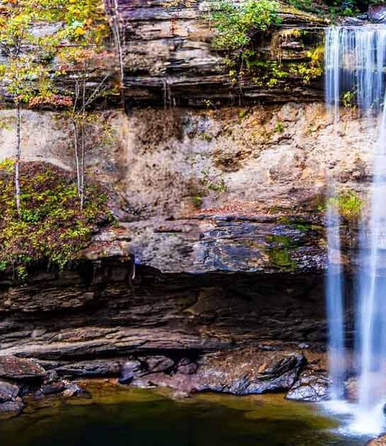 tennessee state dreamy park ftr