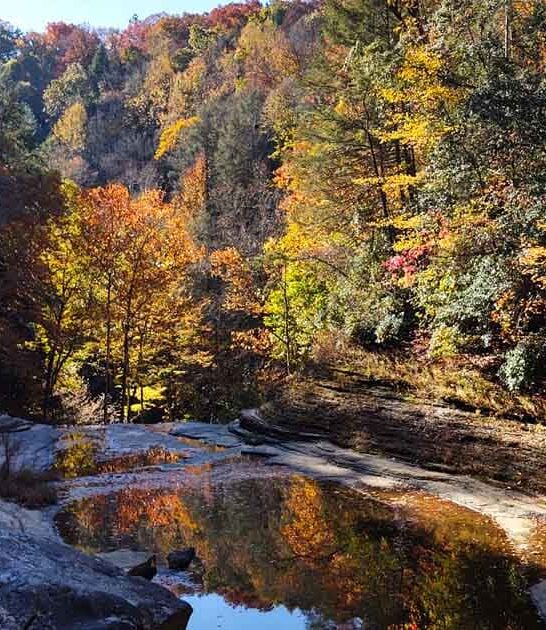 tennessee state gorgeous park ftr