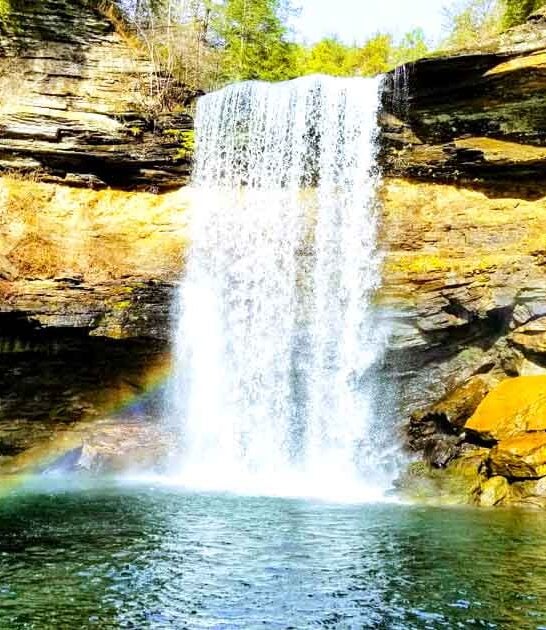 tennessee state stunning park ftr