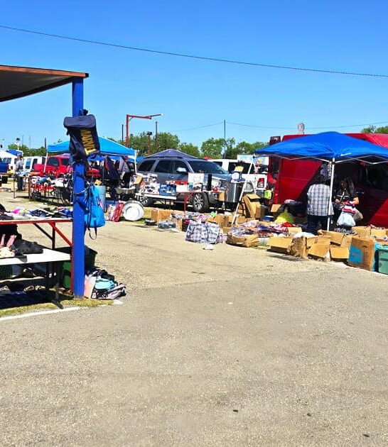 texas flea budget shopping ftr