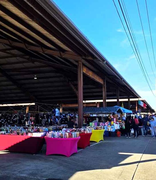 texas flea market adventure ftr