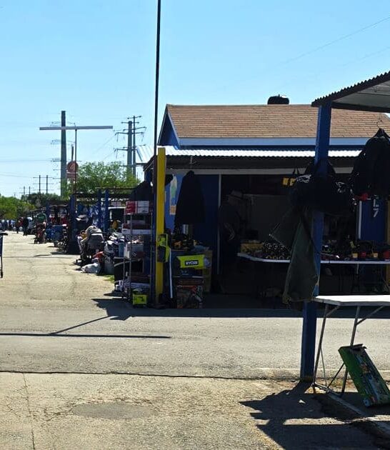 texas massive flea deals ftr