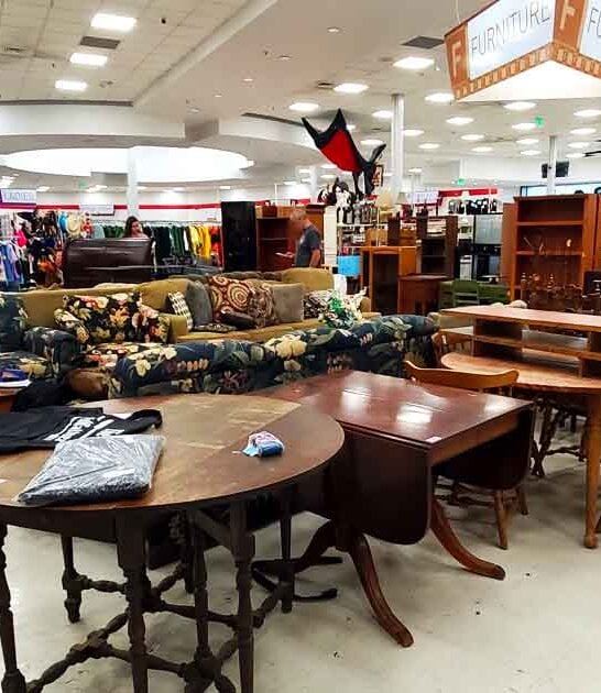 thrift colorado shopping spree ftr