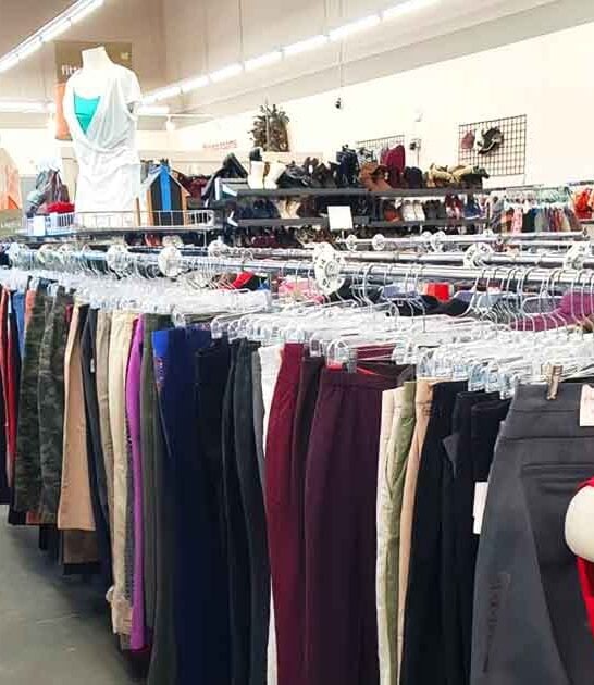 thrift store bargains idaho ftr